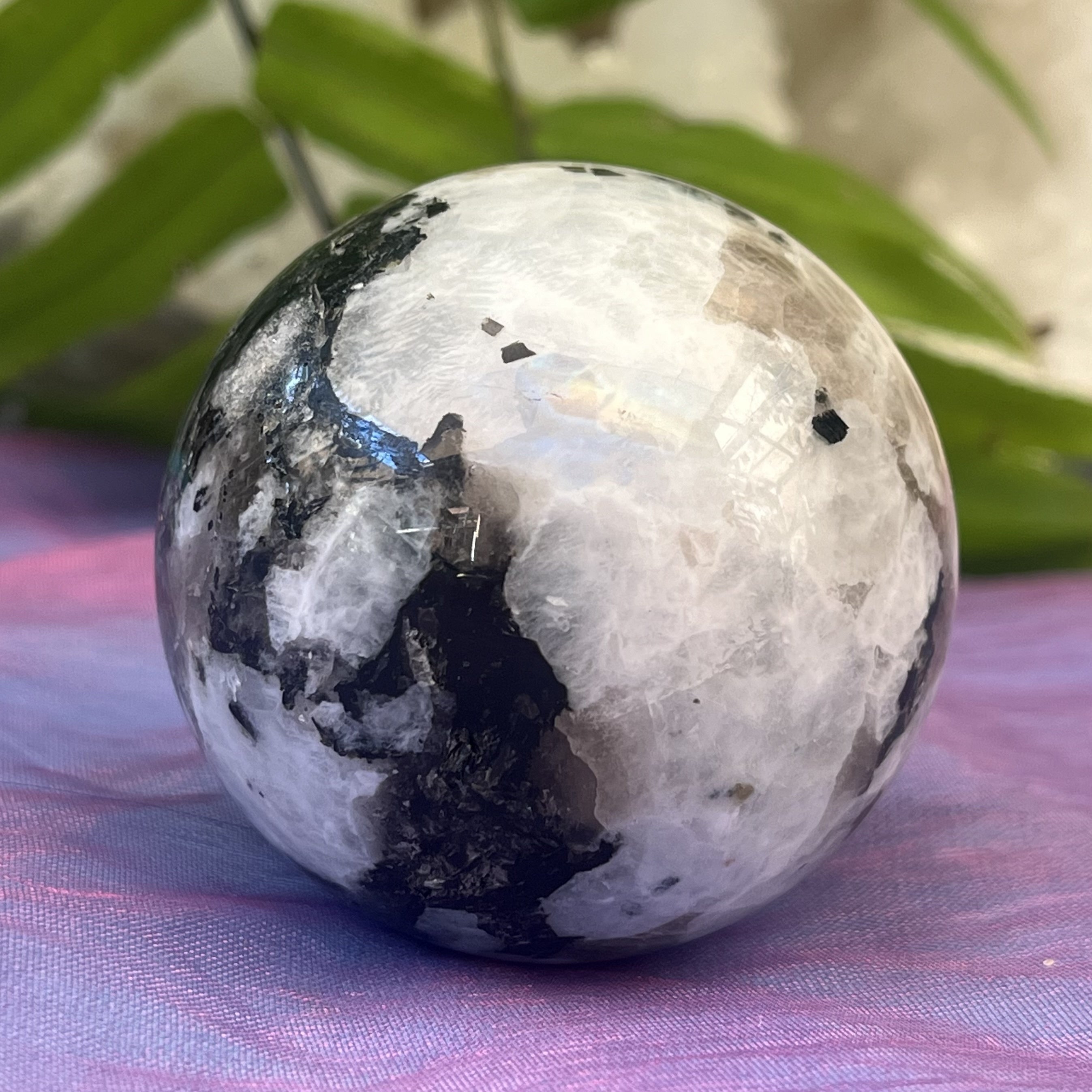 Sphere Rainbow Moonstone 5cm | Carpe Diem With Remi