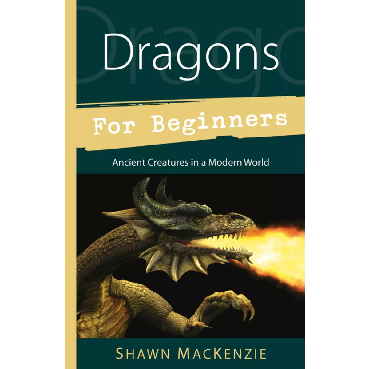 Dragons for Beginners – Carpe Diem With Remi